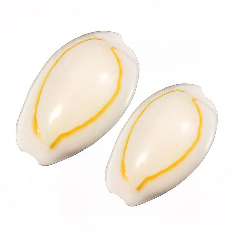 Buy Genuine Natural Earrings Seashell Shell Sea Earring Ear Hooks ...