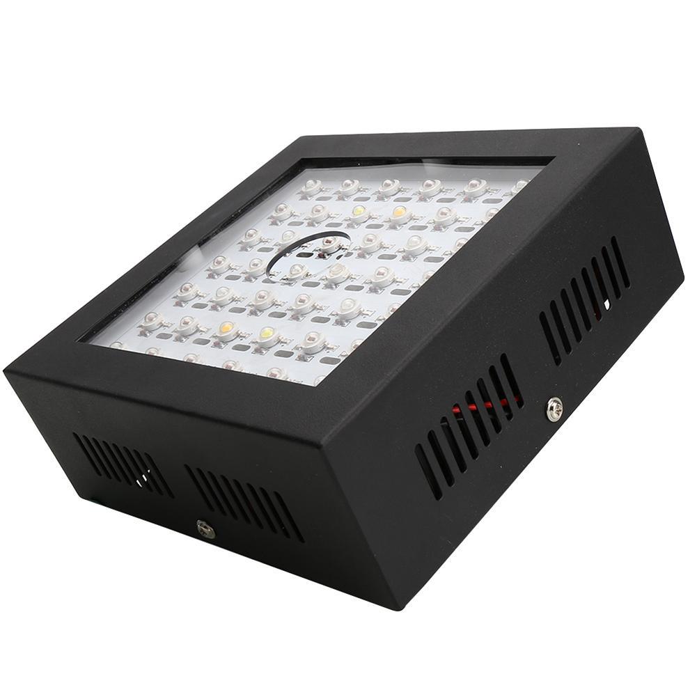 Buy 80W Mini LED Indoor Plant Grow Light Greenhouse Flower Vegetable ...