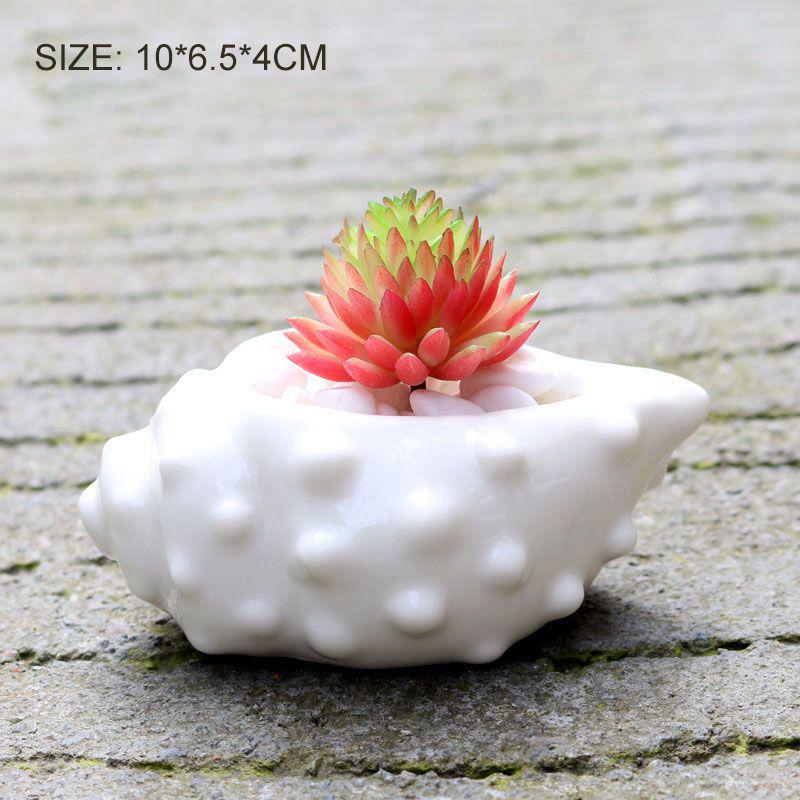 Buy 6pcs Mini White Small Flowerpot Shell Shape Ceramic Succulent Plant ...