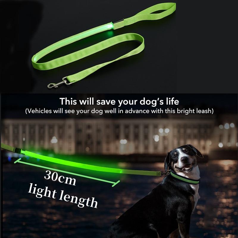 Cheap LED Glowing Pet Leashes Rechargeable Luminous Adjustable Outdoor ...