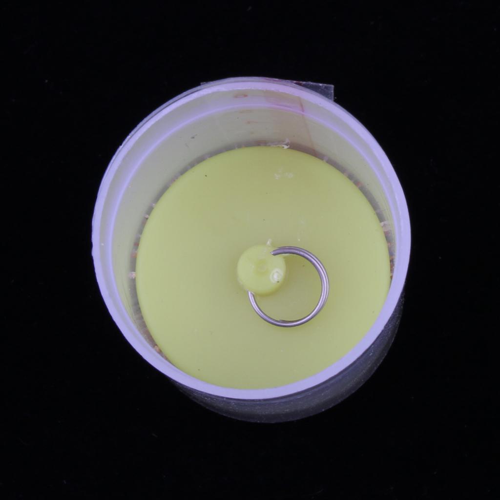 Buy Overflow Can Plastic Beaker w/ Pour Spout Archimedes Principle ...