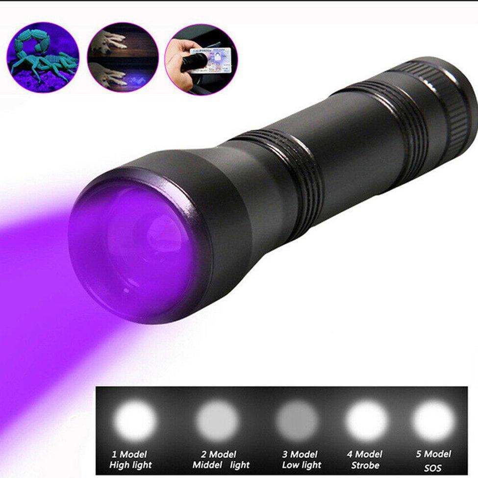 Buy 51Led Violet Flashlight Small Appliances Led Violet Ultraviolet ...