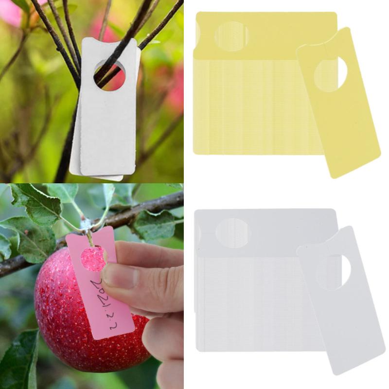 Buy 50PCS/Set Flower Seeding Tag Tag Marker Sign Plastic Waterproof ...