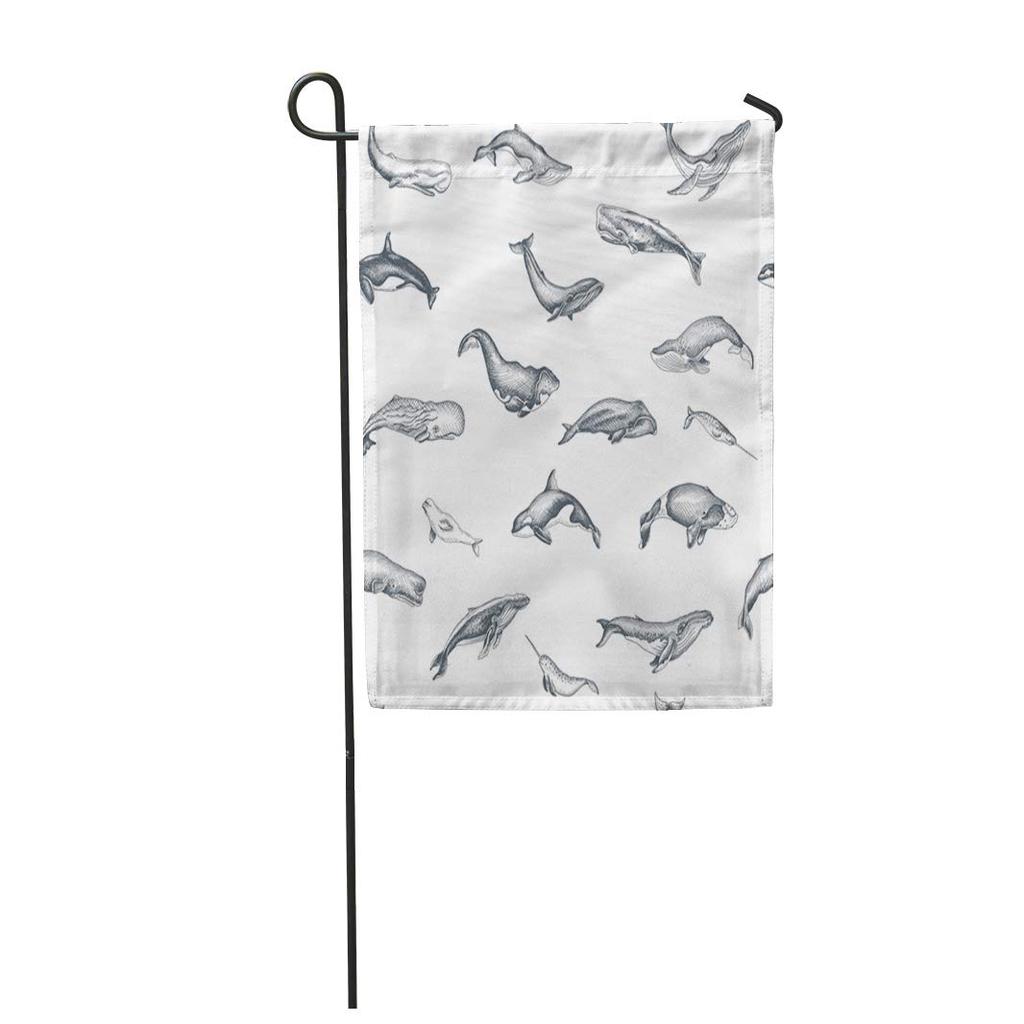 Buy Blue Beluga Pattern with Whale with Wildlife Big Black Bowhead ...