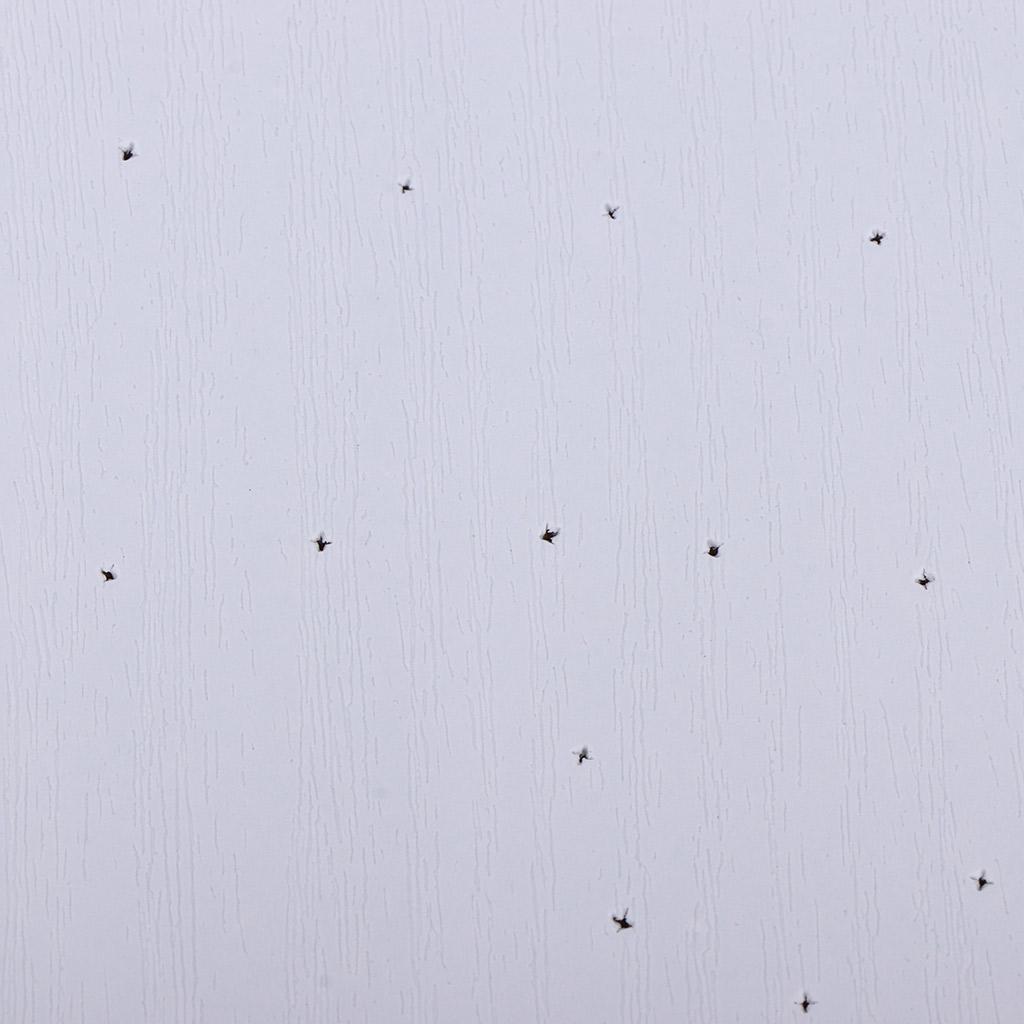 Buy Crafts Pin String Art Dolphin DIY Home Decoration Animals Kits With ...