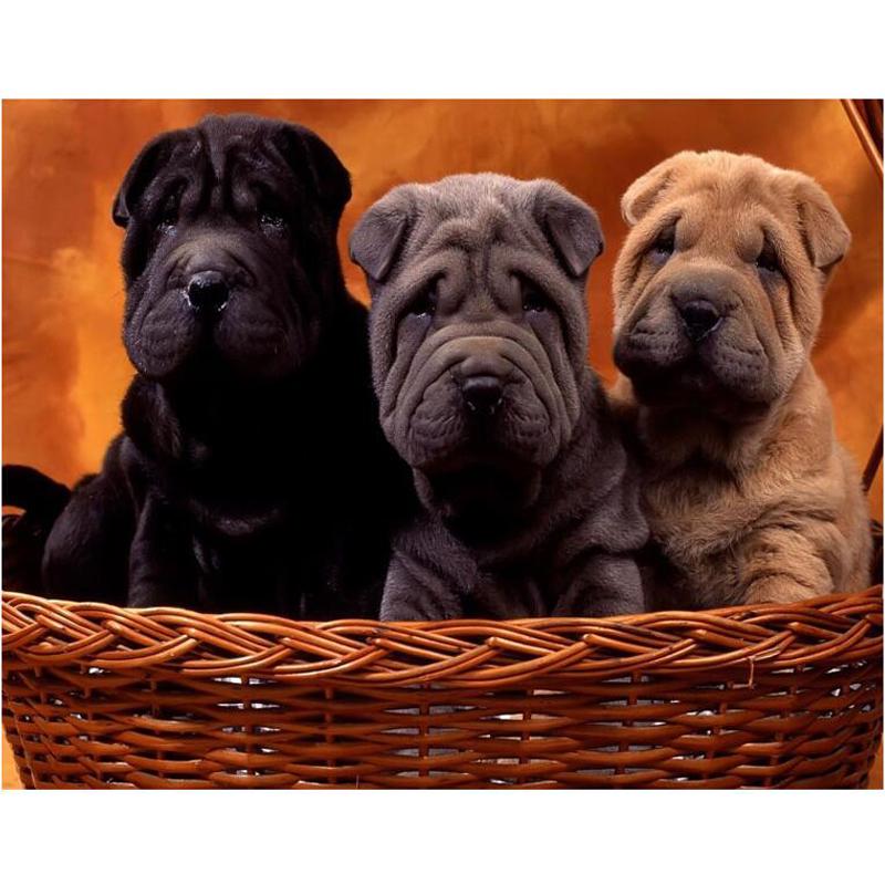 Buy Chinese Shar-pei 5D DIY Full Round Diamond Painting Cross Stitch ...