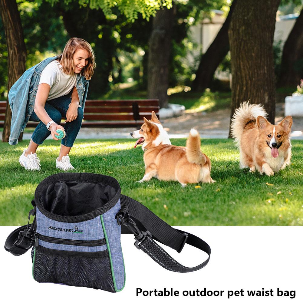 Buy Outdoor Dog Training Bag Walking Snack Portable Puppy Waist Food ...