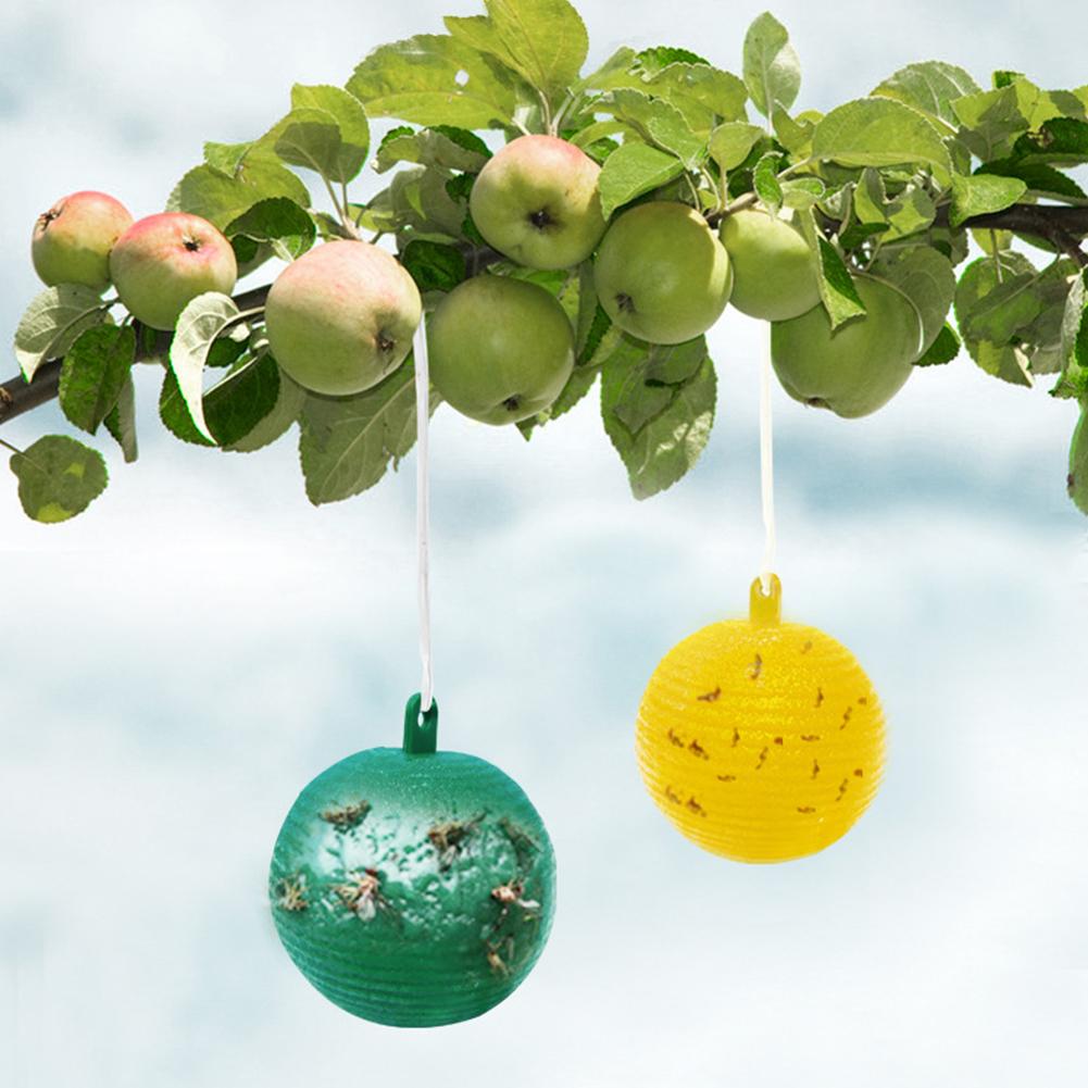 Fruit Fly Trap 360degrees Sticky Ball Round Traps for Flying Plant ...