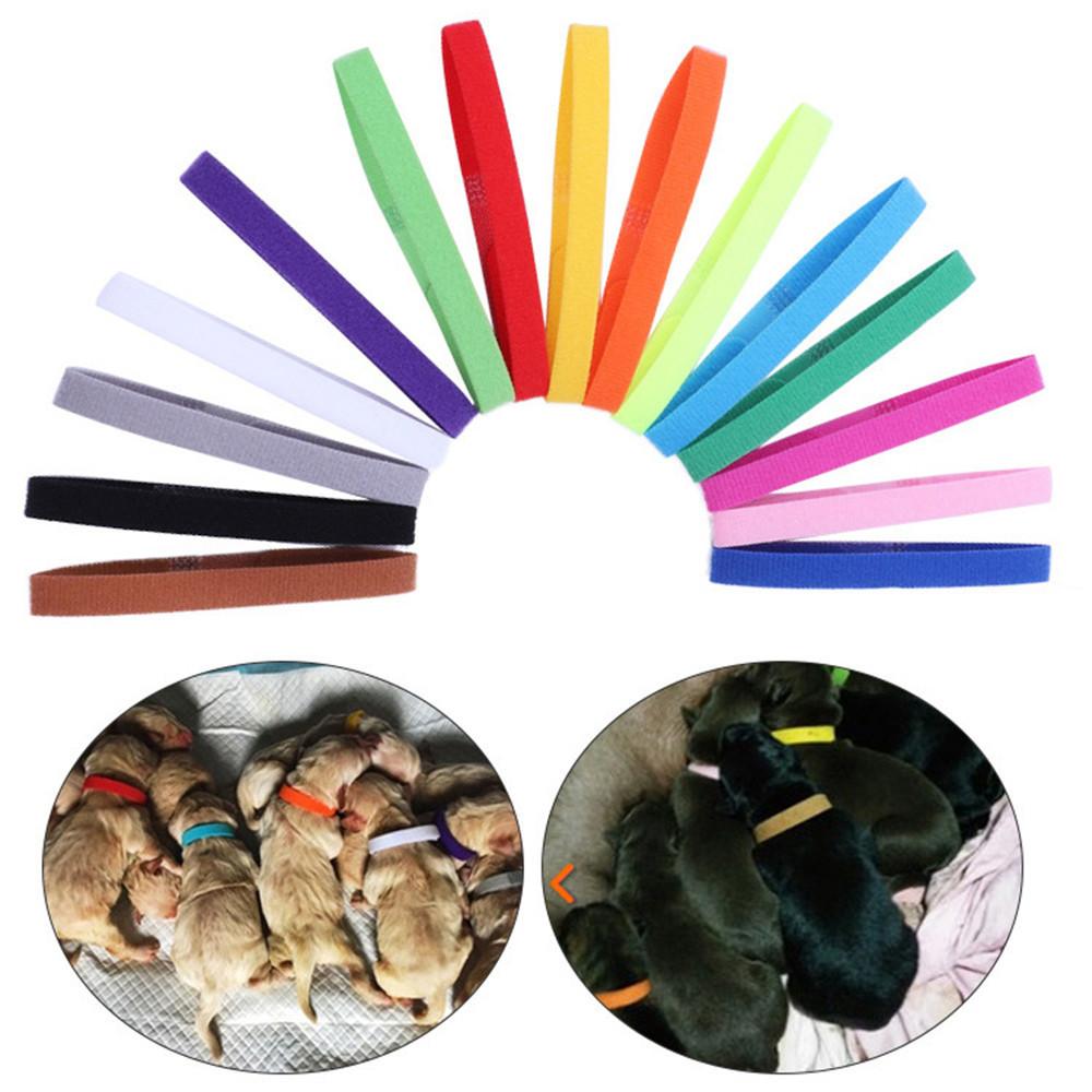 Buy 15pcs Identification Id Collars Whelp Kitten Dog Cat Velvet ...