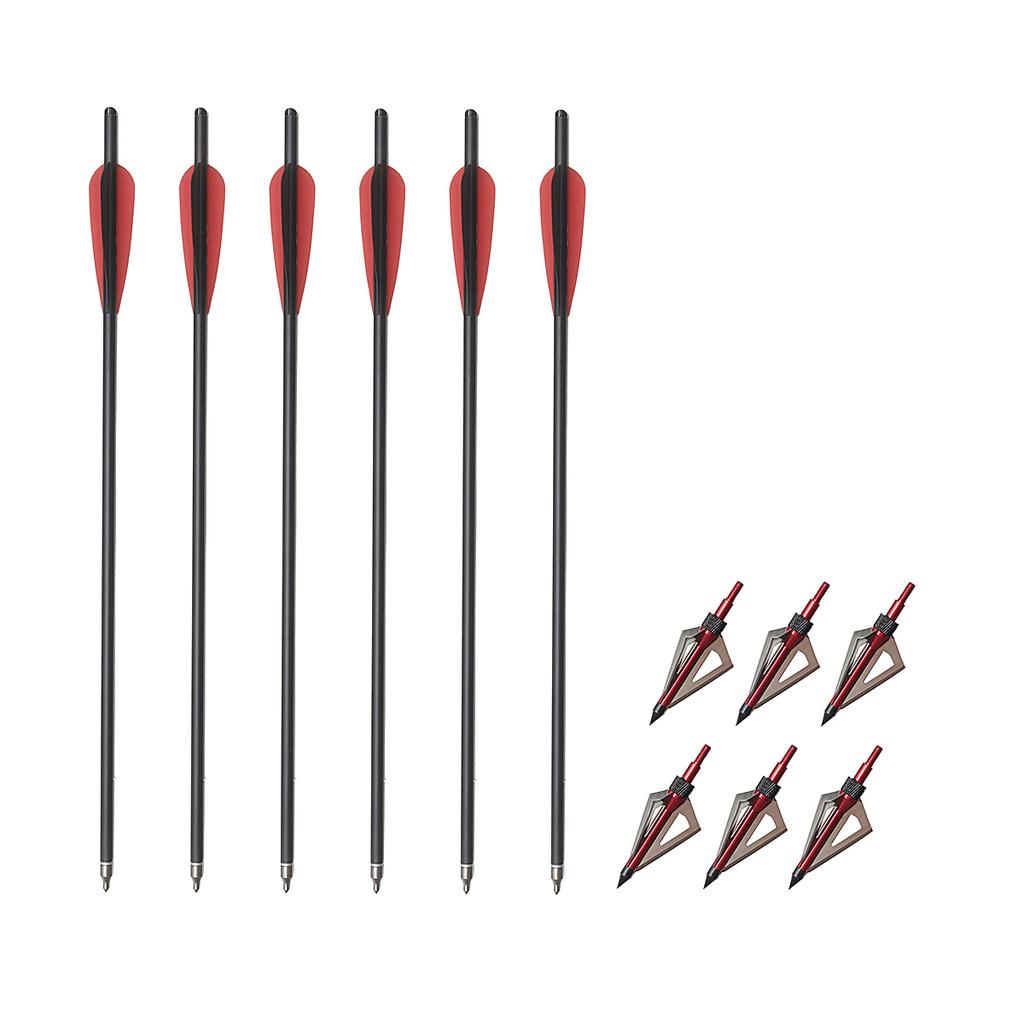 Buy 6Pcs Hunting Arrow+6Pcs Arrowheads Broadheads Bolt 20" Carbon Arrow ...