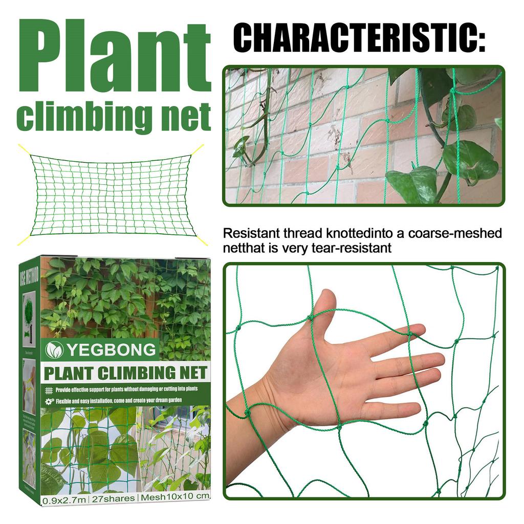 Buy (Sevenday)Garden Plant Climbing Vine Net Plant Trellis-Netting ...