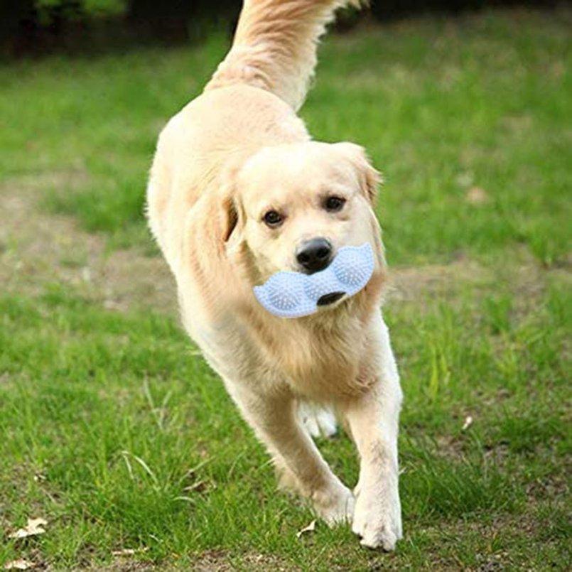 Buy BMS Pea Shape Dog Chew Toy TPR Chew Toy Pet Toys Molar Toys IQ ...