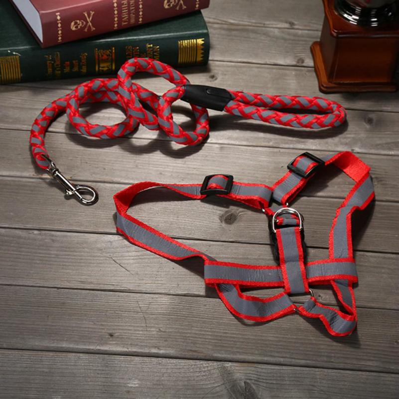 Buy Dog Glance Round Rope Traction Rope Light Dog Rope Chain Luminous ...