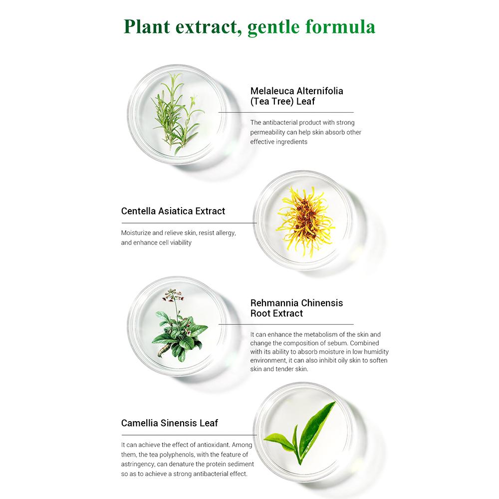 BREYLEE Tea Tree Acne Solution Kit Acne Treatment Serum Face Cream ...