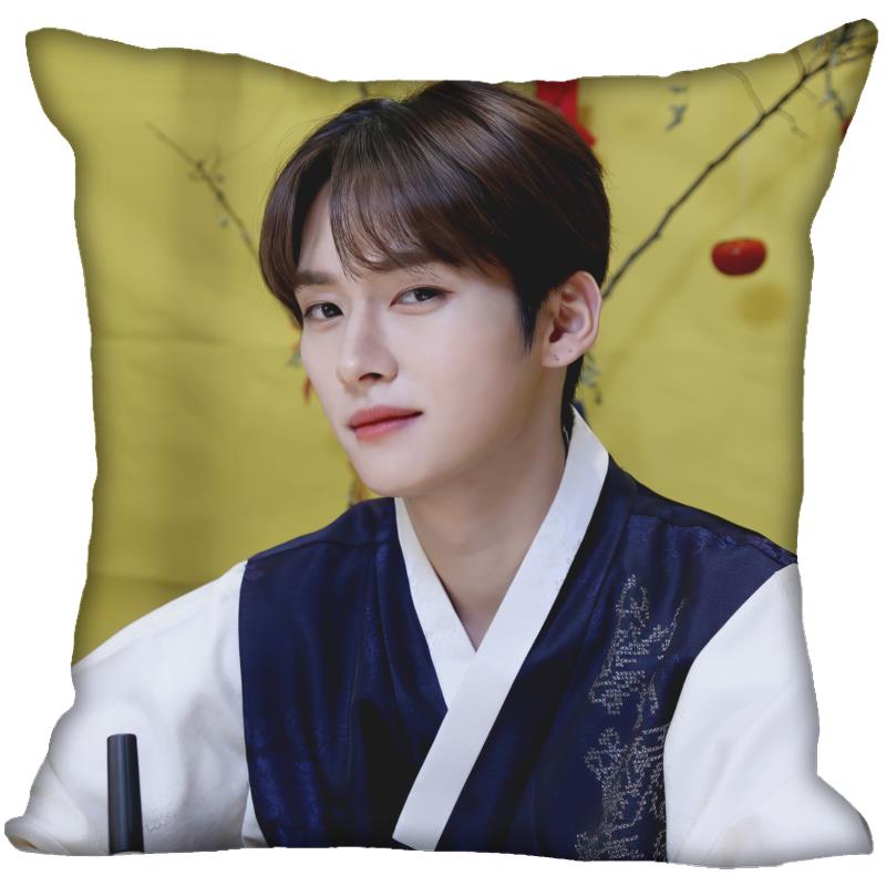 Stray Kids Lee Know Pillow Cover Bedroom Home Office Decorative ...