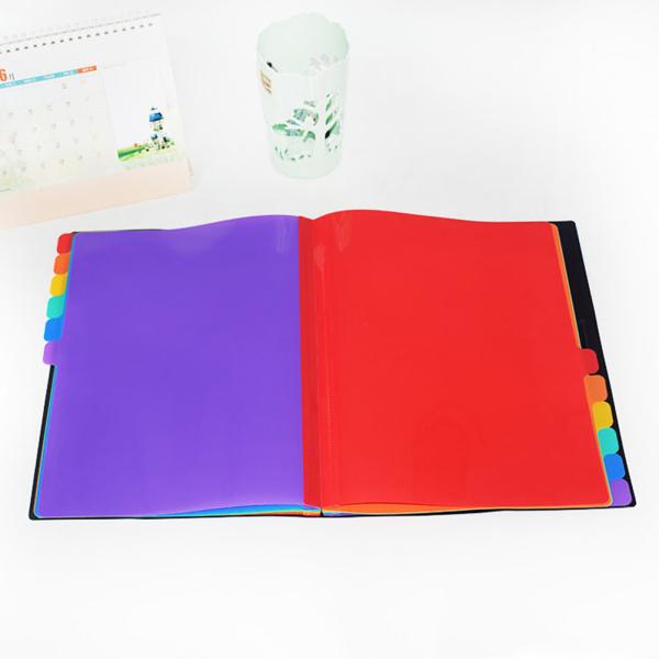 Buy 1PCS 12 Pages A4 Multicolor Information Book Office Plastic School ...