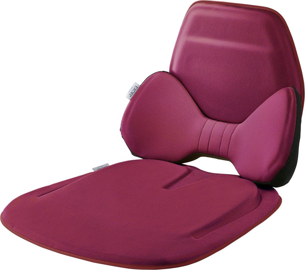 Buy EXGEL Car Cushion Hug Drive Set Raspberry Cushion Zabuton Gel ...