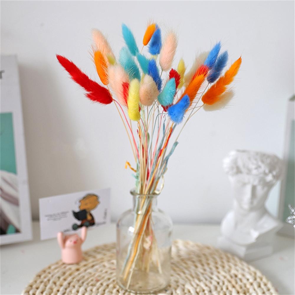 Buy 30/60/100Pcs 45Cm Natural Dried Flowers Reed Rabbit Tail Grass ...