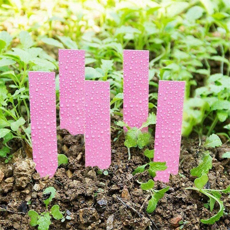 Cheap 100pcs Plant Tag Garden Label Plastic Hanging Waterproof Tagging ...