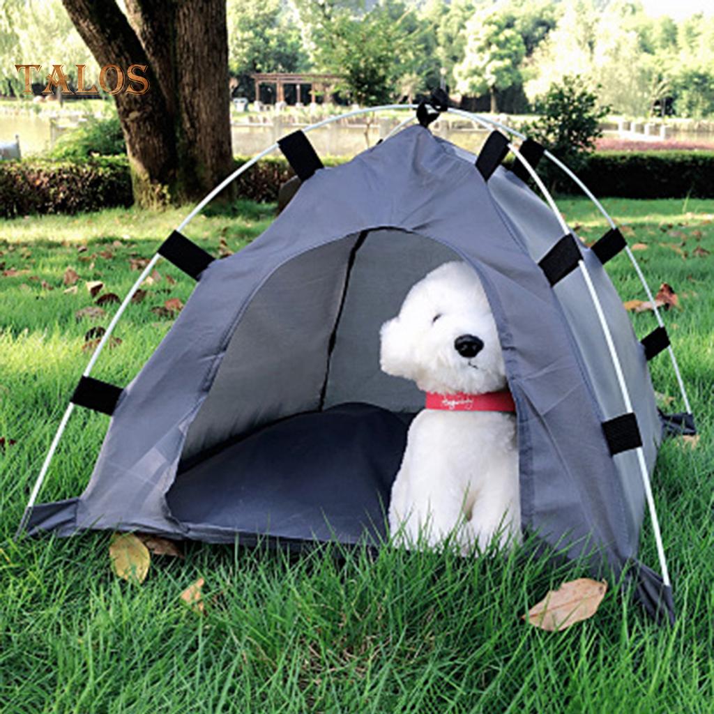 Buy TE Outdoor Indoor Foldable Cute Pet Tent for Kitten Small Cat Dog ...