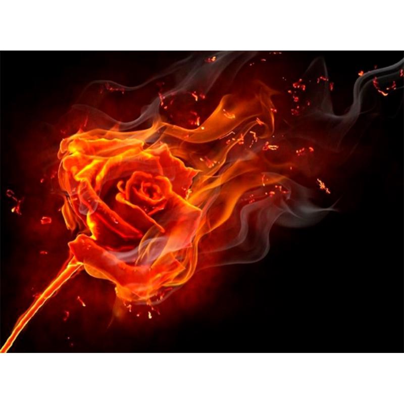 Buy 5D DIY Diamond Painting Cross Stitch Fire Rose Diamond Embroidery ...