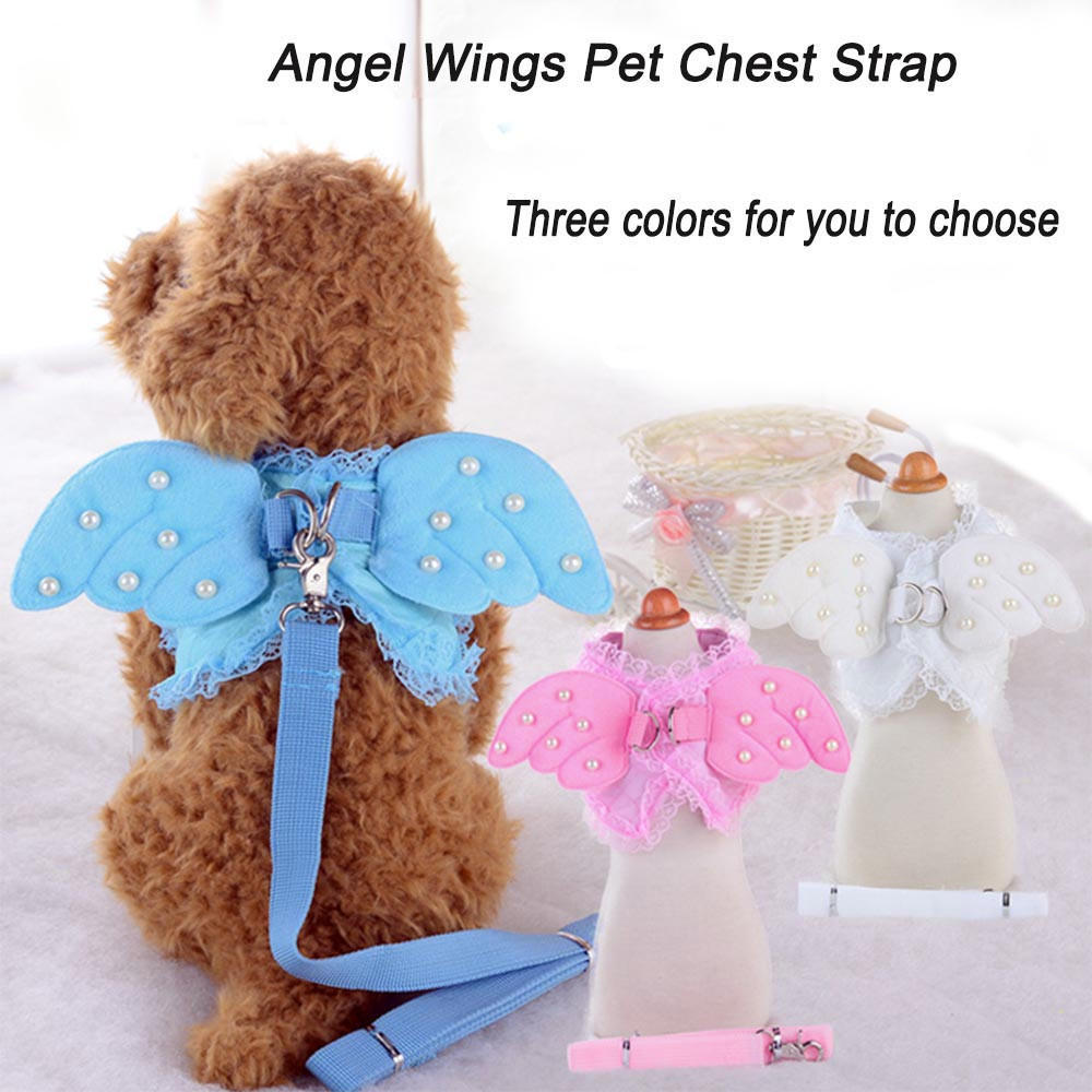 Buy Cute Angel Pet Dog Chest Strap Collars Set for Small Pet Designer ...