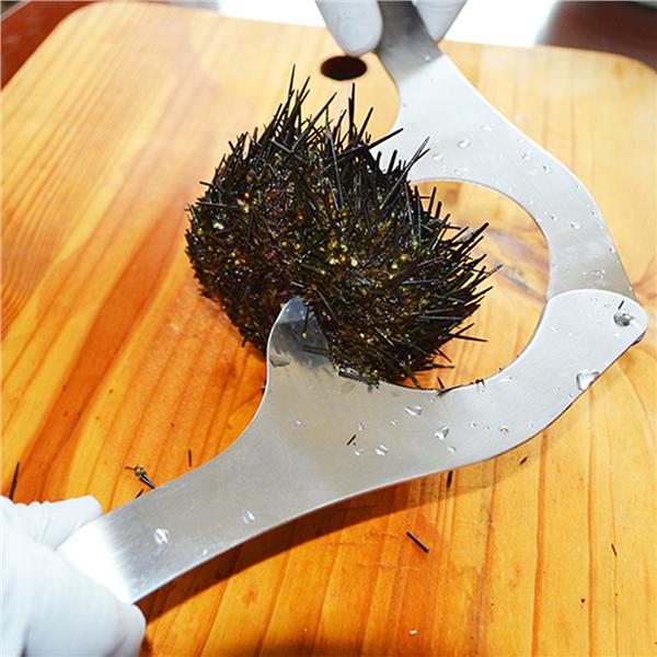 Buy 1 Pc Sea Urchin Cutter Multifunctional Seafood Sea Urchin Gadget ...