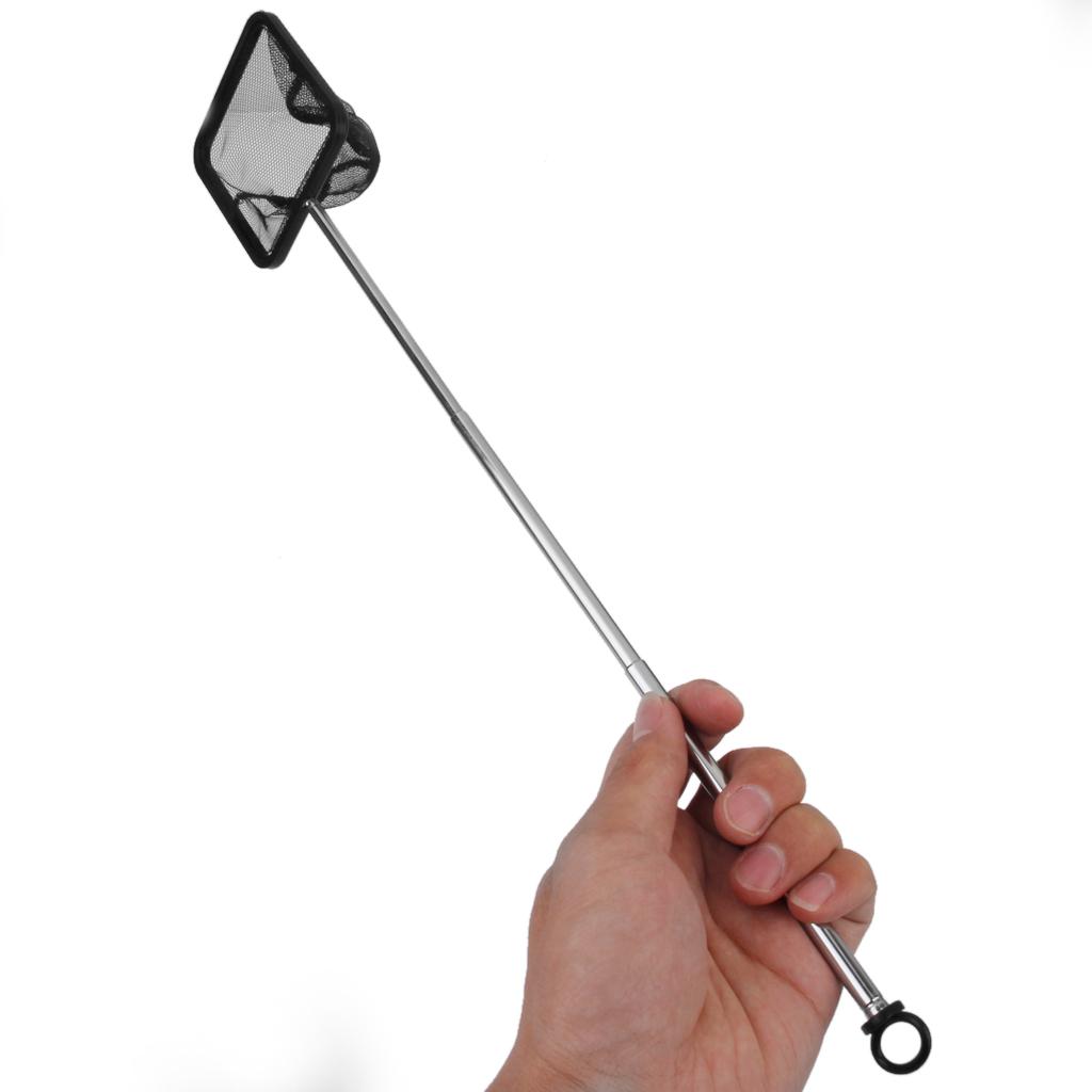 Satın alın Square Aquarium Shrimp Small Betta Tetra Fish Tank Net W ...