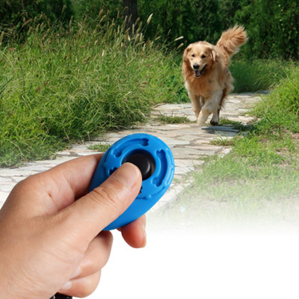 1 Piece Pet Dog Click Clicker Training Trainer Aid Wrist Strap uygun ...
