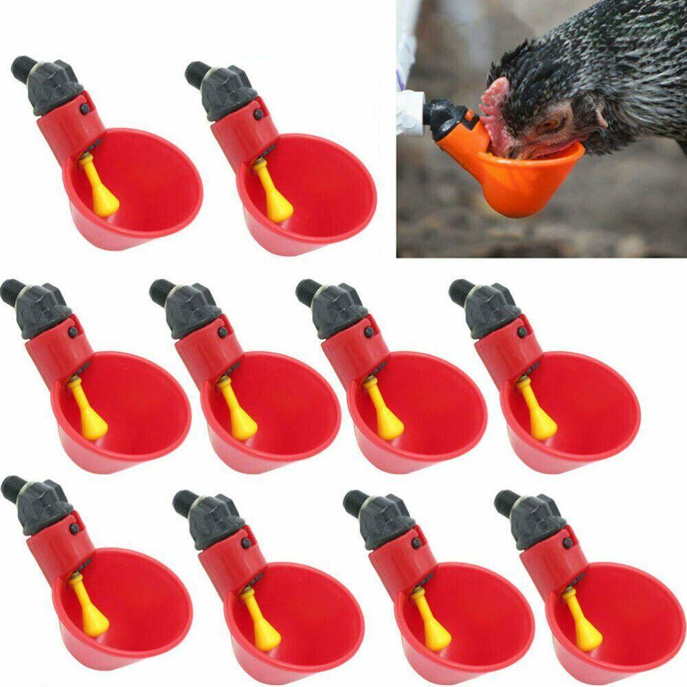 Cheap 10-piece poultry waterer automatic chicken waterer chicken bird ...