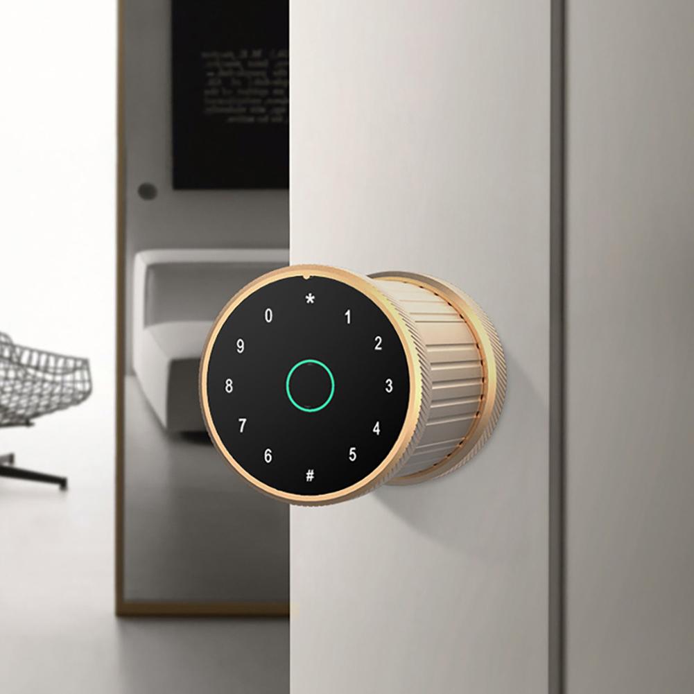 Cheap Tuya Smart Lock Fingerprint Lock Bluetooth Office Interior Door ...