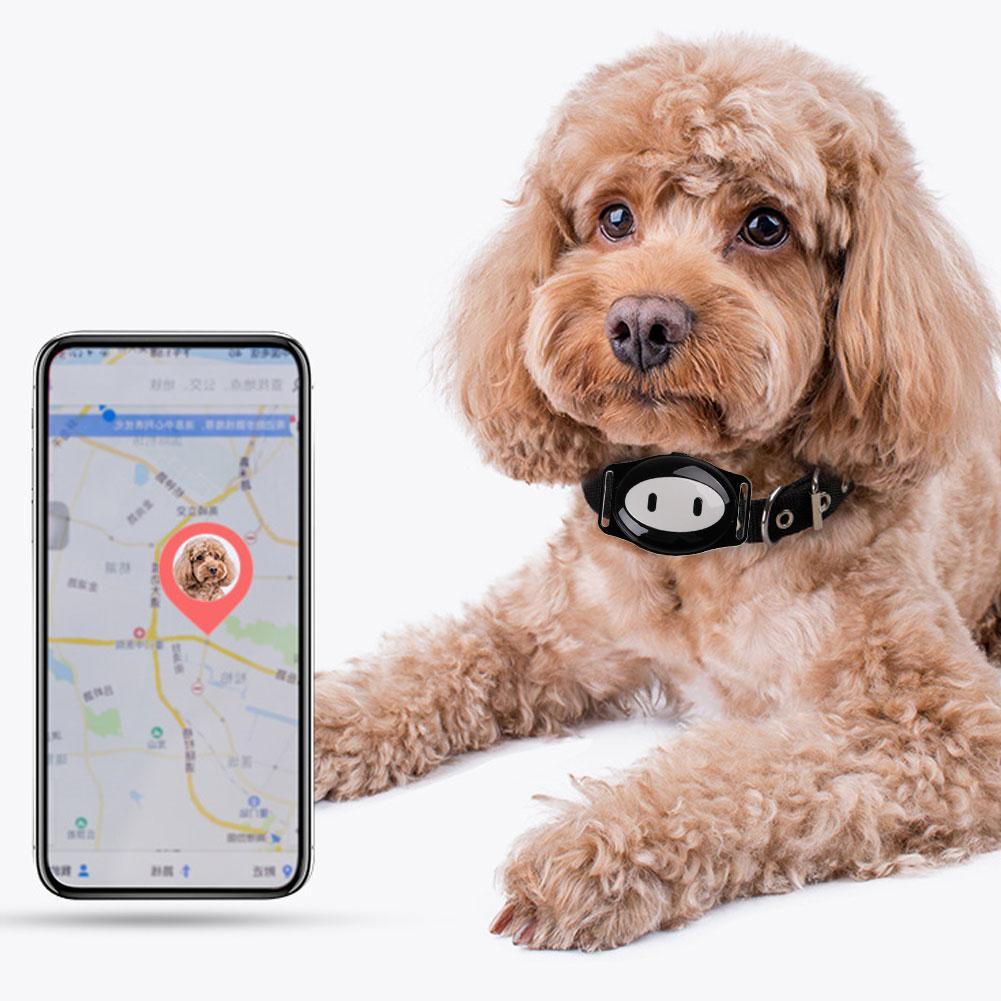 Buy Pet Locator Intelligence Waterproof Tracker Longtime Cat Locatio ...