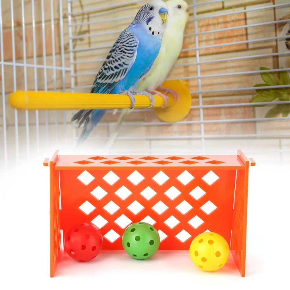 Buy Hot Sale Ball Bird Pet Cockatiel Puzzle Training Development ...