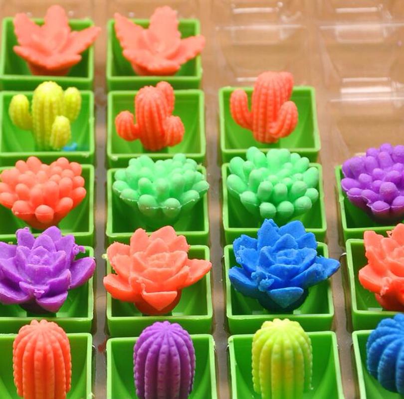 Buy 5pcs Growing In Water Flower Cactuse Bonsai Plant Toy Magic Toys ...