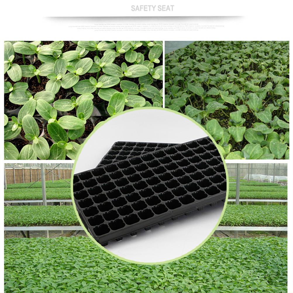 Buy Seedling Tray Practical 200 Holes Household Seed Sprouter Seedling ...
