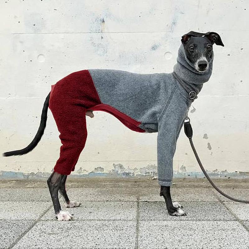 Mode Herbst Hund Pet Villus Tuch Langarm Patchwork Turtleneck Hoodie ...