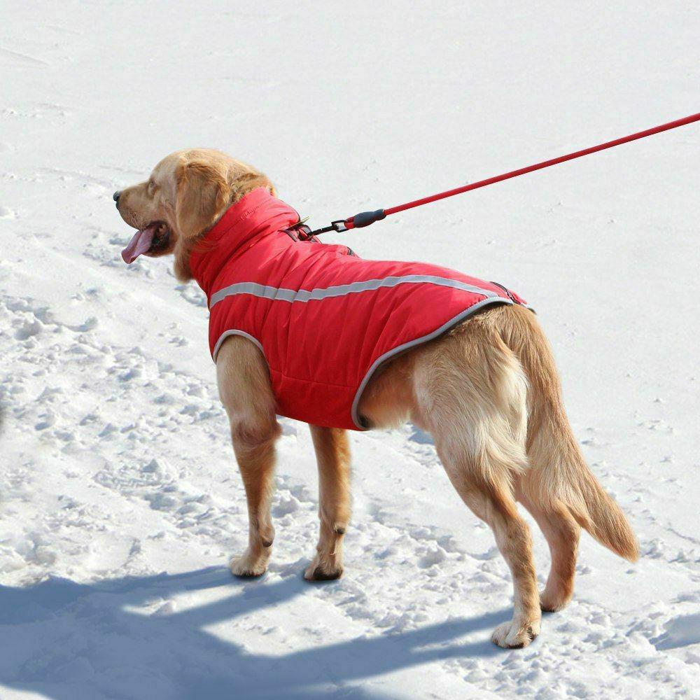 Buy Large Padded Fleece Jacket Coat Waterproof Dog Clothes Vest Warm ...