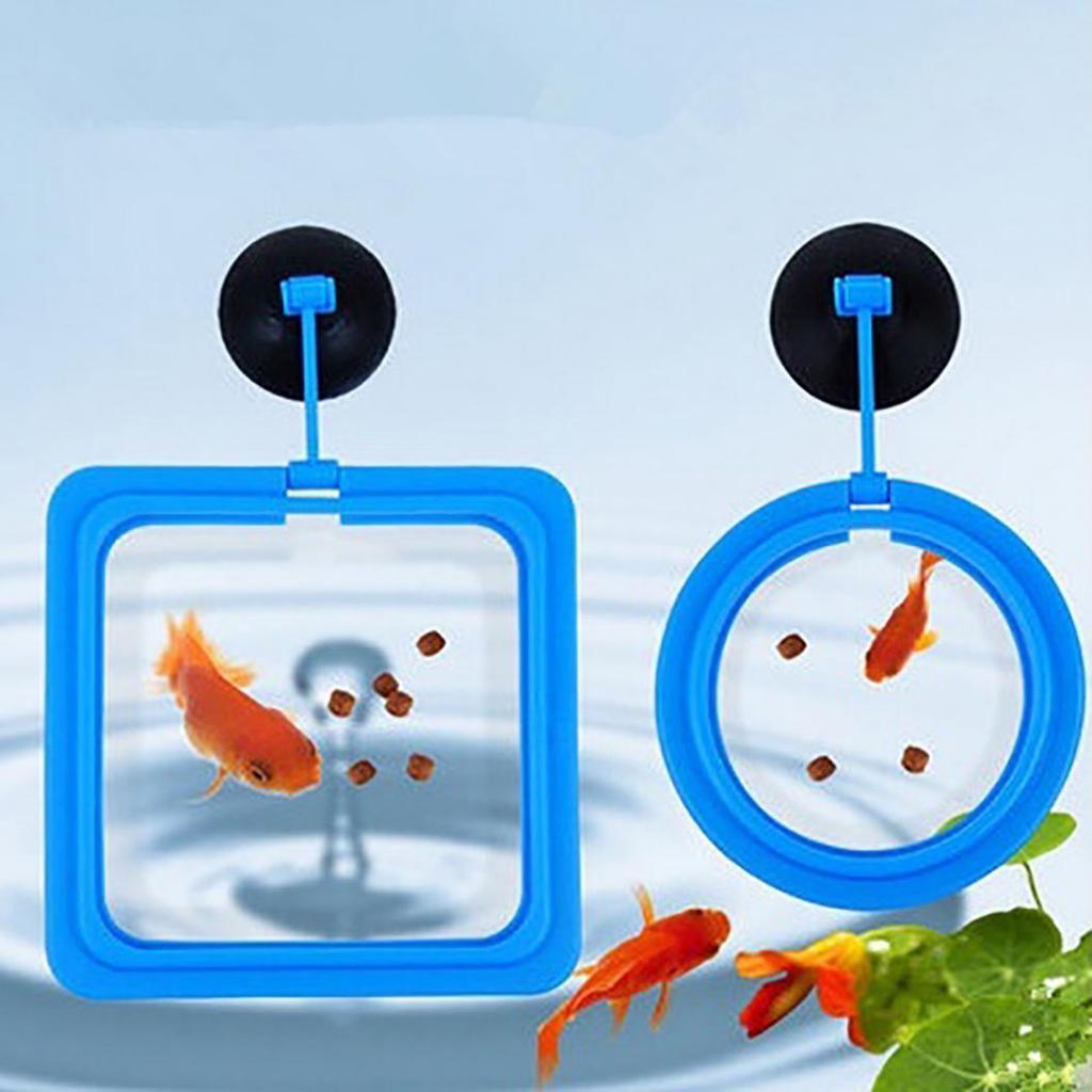 Buy Fish Feeding Aquarium Floating Food Water Plant Suction Cup ...