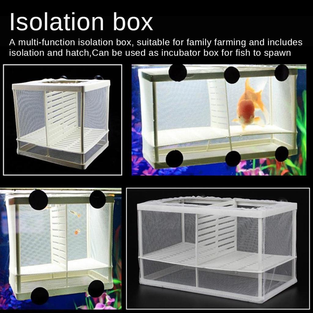 Aquarium isolation box fish tank isolation net tropical fish peacock ...