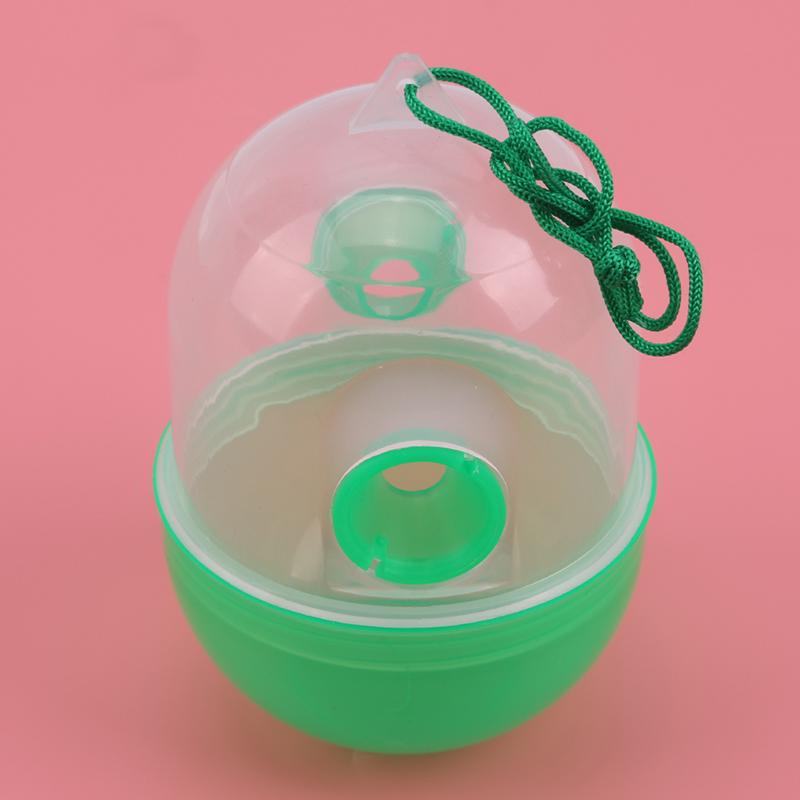 Buy Wasp Fly Flies Bee Insects Hanging Catcher Killer Chemical Insect ...