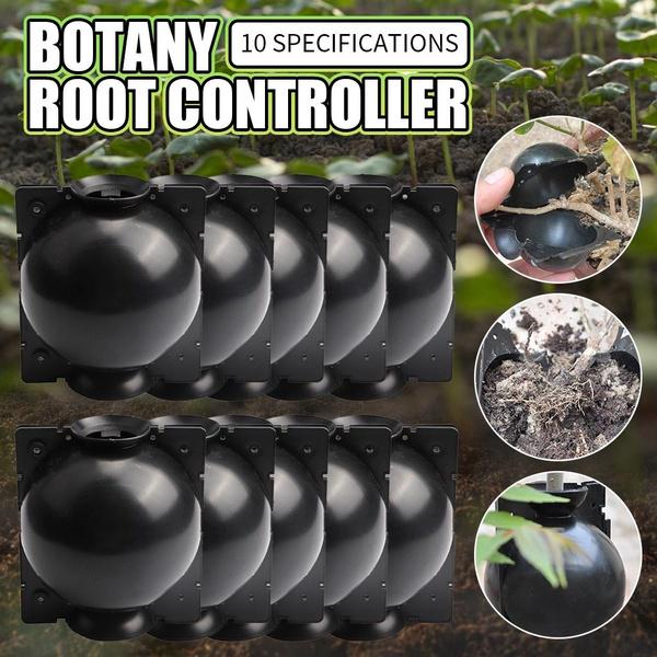 Buy Plants Clone 5pcs Reusable Plant Rooting Device Plant Rooter Box ...