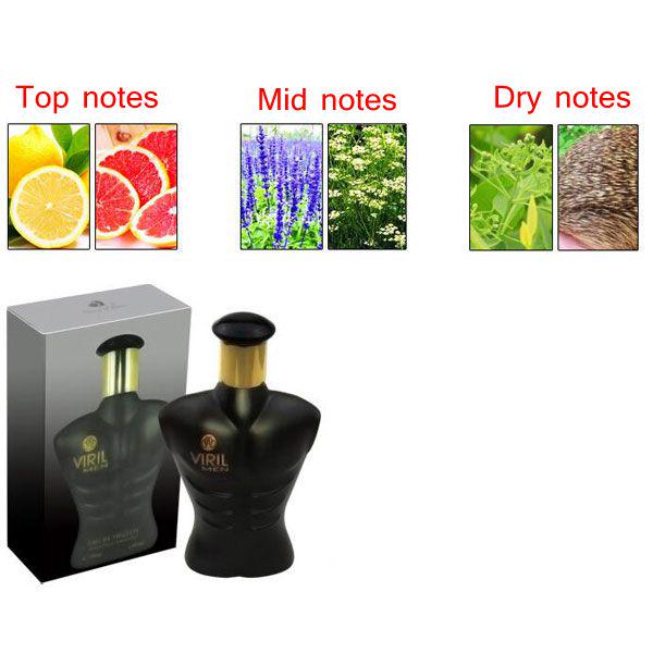 Buy Muscle Long-lasting Fresh Fragrance Perfume for Men Perfume 100ml ...