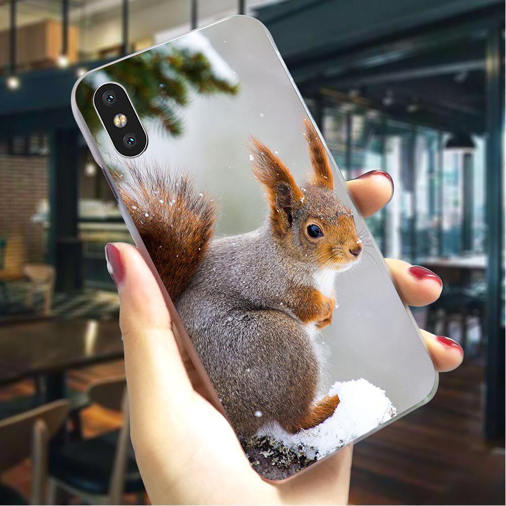 Cute Squirrel Phone Cover For iPhone XS Case 5 5S SE 6 6S/6 6S Plus ...
