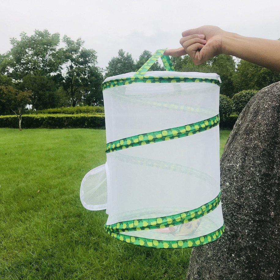 Buy Beauty Twelve Portable Insect And Butterfly Habitat Cage Clear ...