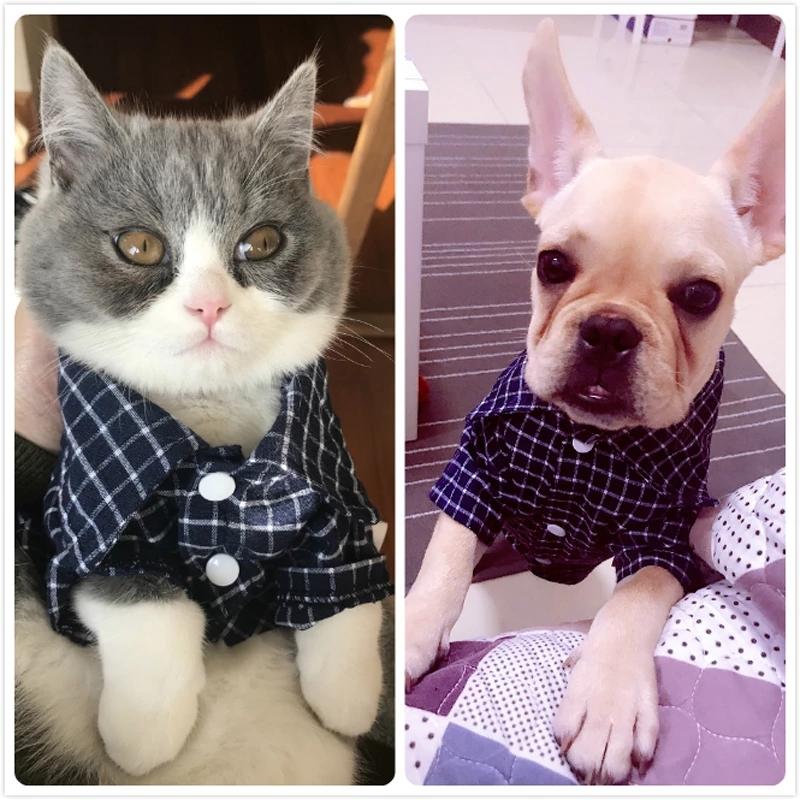 Buy Dog Clothes Sphynx Classic Pet T-shirt Fashion Plaid Cotton Shirts ...