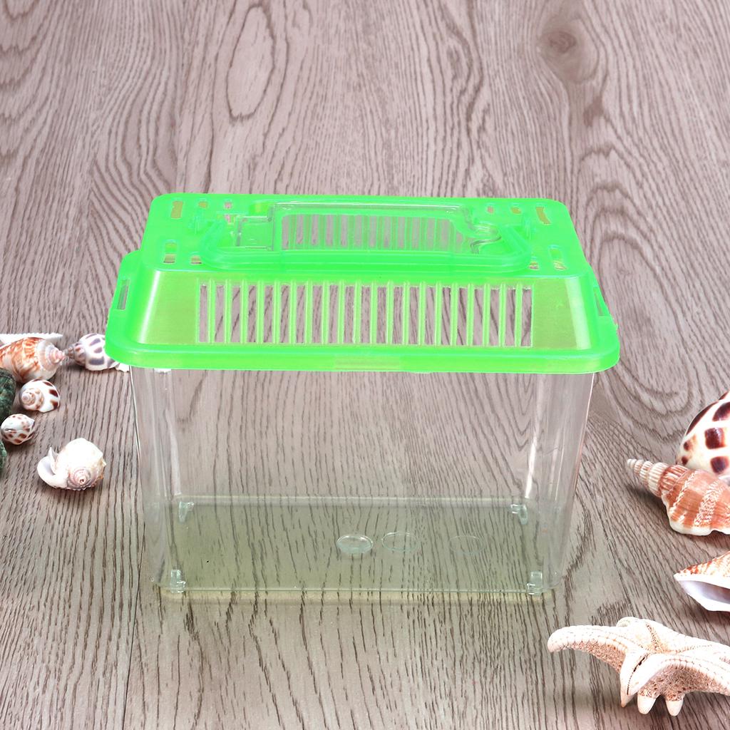 Buy Mini Non-toxic Fish Tank Plastic Handheld Fish Tank for Turtle and ...