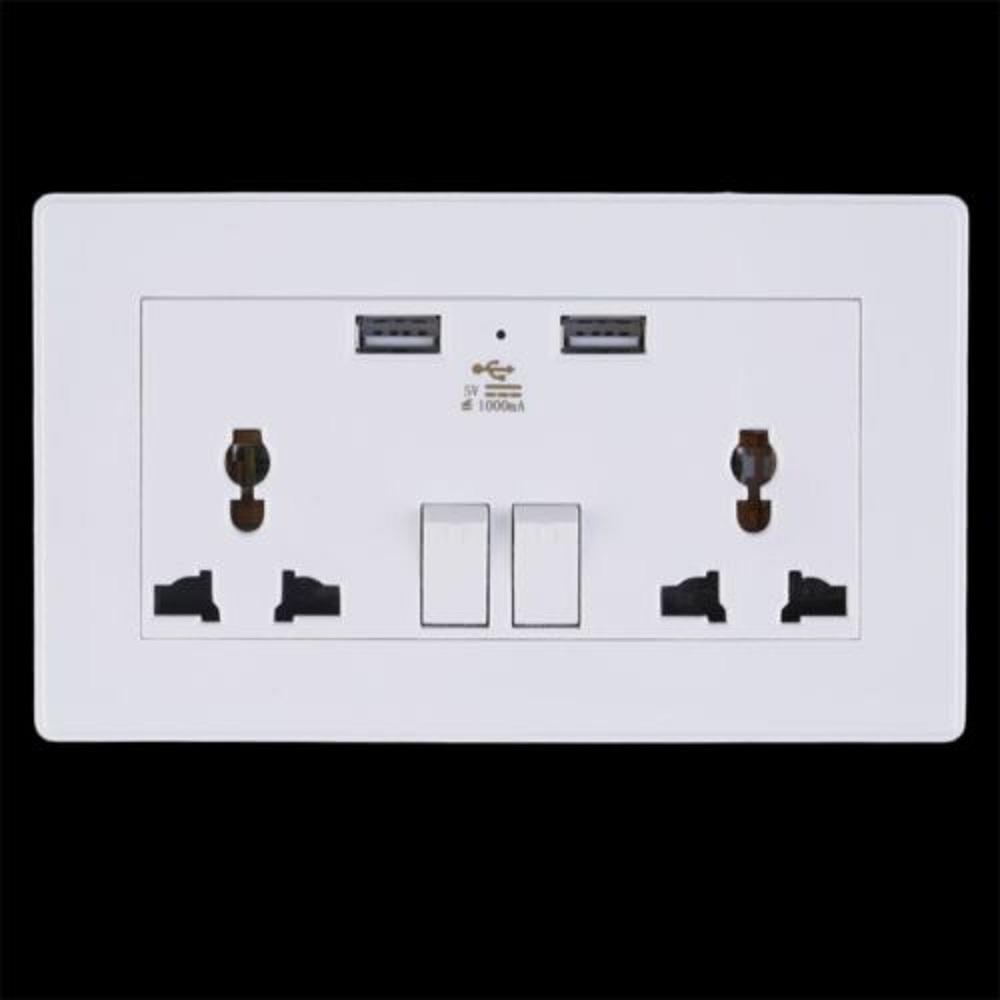 Buy Port Plate Panel Outlets Wall Socket 2 Gang Plug Dual USB at ...