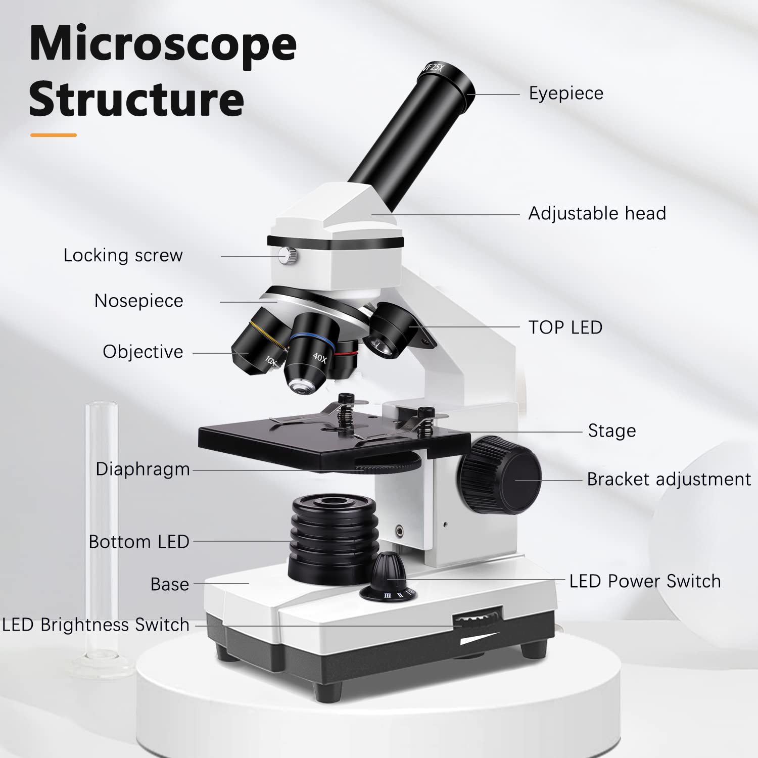 Cell Microscope ACCUSCOPE Exm-151 Compound Monocular Microscope With ...