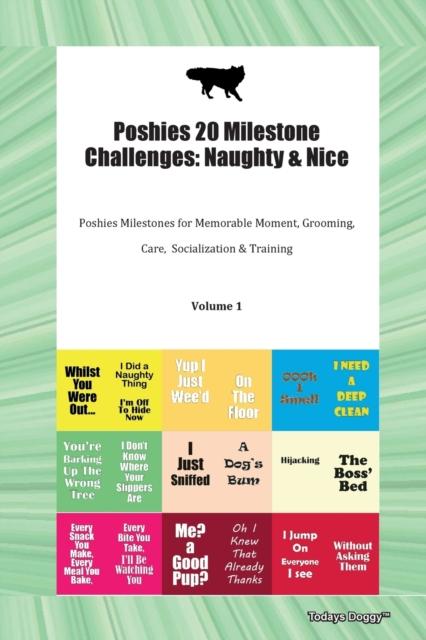 Cheap Poshies 20 Milestone Challenges : Naughty & Nice Poshies ...