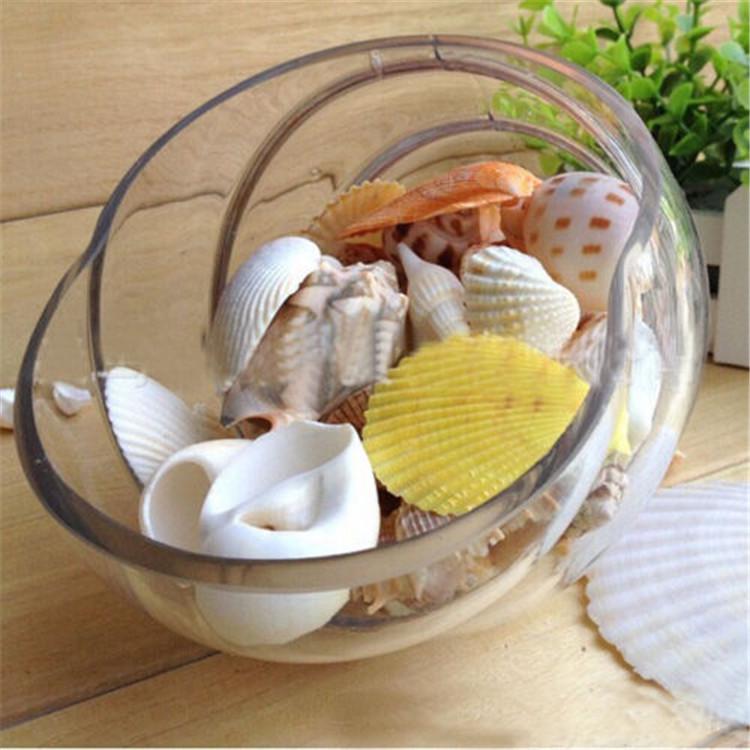 Buy Natural Mixed Bulk Sea Shells Beach Shell Table Decor Craft ...